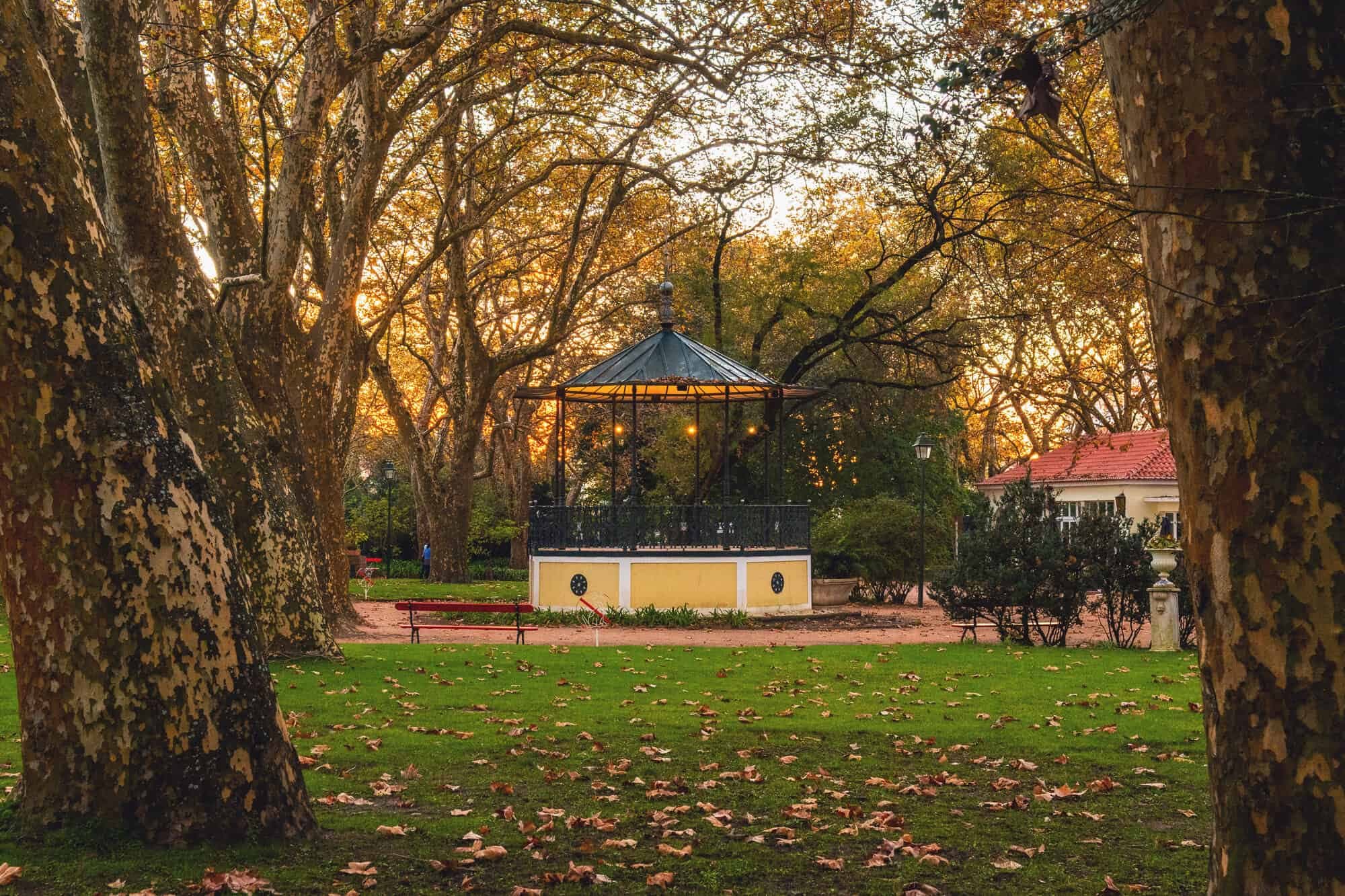 Caldas da Rainha: Last enchanted break of 2024 | SANA Insider Travel Blog